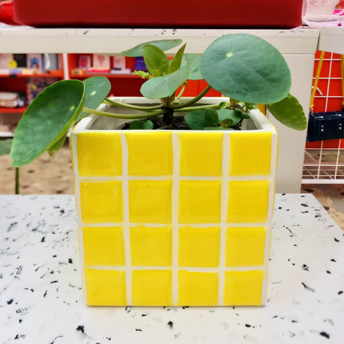 Vase ou Cache Pot Jaune Citron en Carreaux de Céramique • L'AMOUR FOU